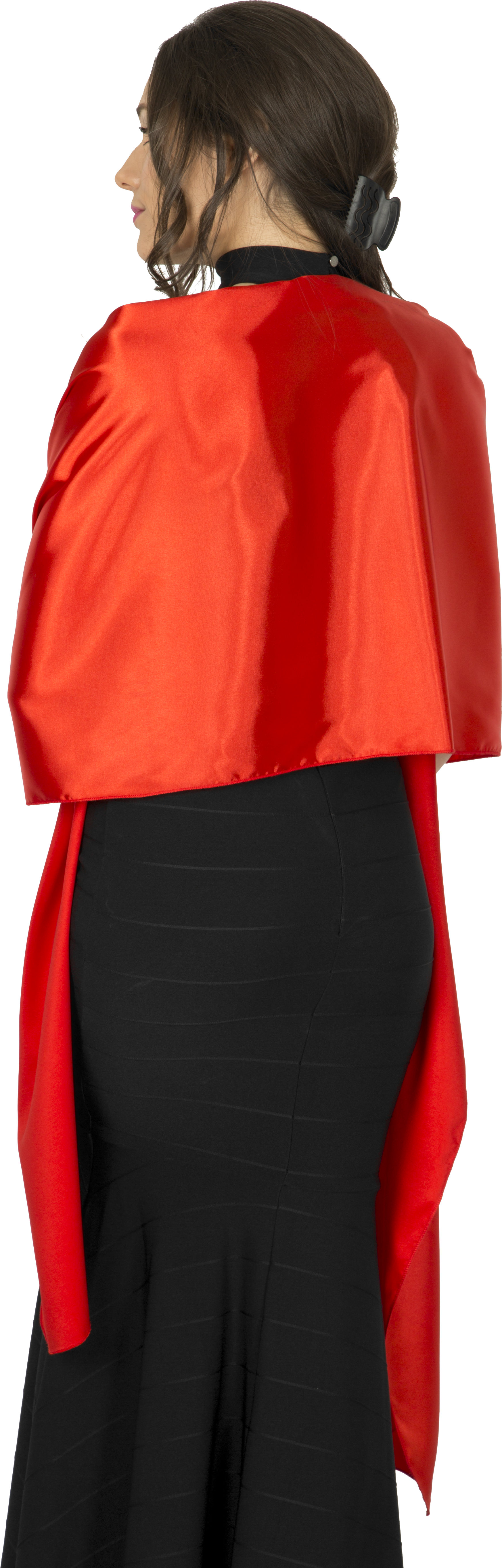 BlackButterfly Satin Shawl Wrap Wedding Bridesmaid Prom Scarf Stole ...